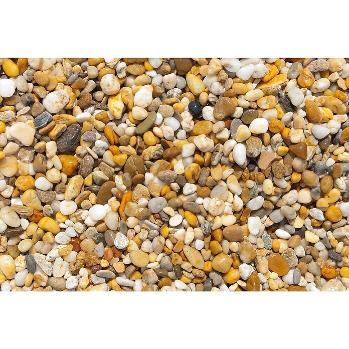 Flusskiesel Bunt (Mehrfarbig, Körnung: 8 mm - 16 mm, 1 000 kg) | BAUHAUS