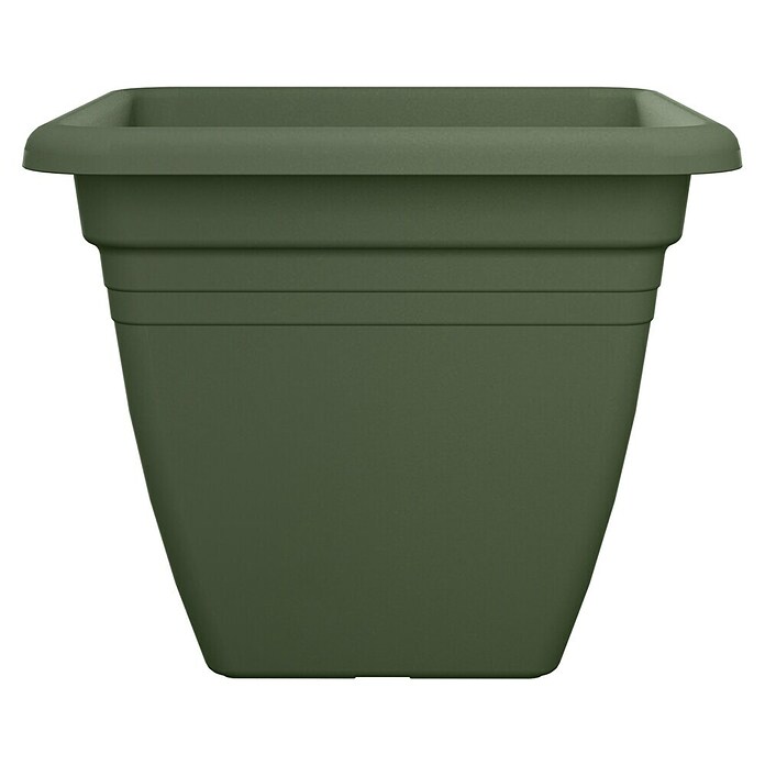 Elho Pflanzkasten Florus Mediterran Quadro (Kunststoff, Grün, L x B x H ...