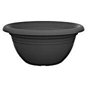 Elho Pflanzschale rund Florus Mediterran (Kunststoff, Anthrazit, Ø x H ...