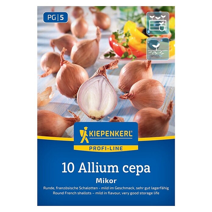 Kiepenkerl Steckzwiebeln Französische Schalotte Mikor Gr. 20/45 (Allium ...