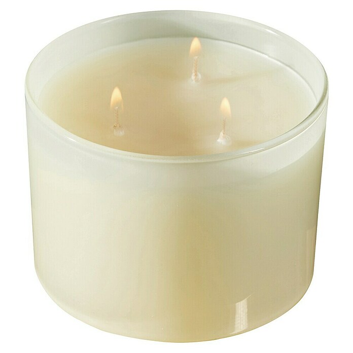 Ceras Roura Vela aromática Apricot & Peony (Ø x Al: 11 x 8 cm, Apricot ...