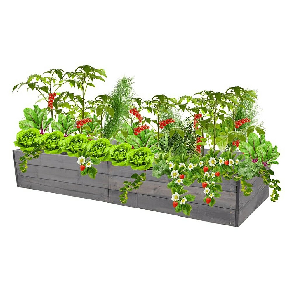 Proregal Hochbeet Growline Holz online kaufen bei BAUHAUS