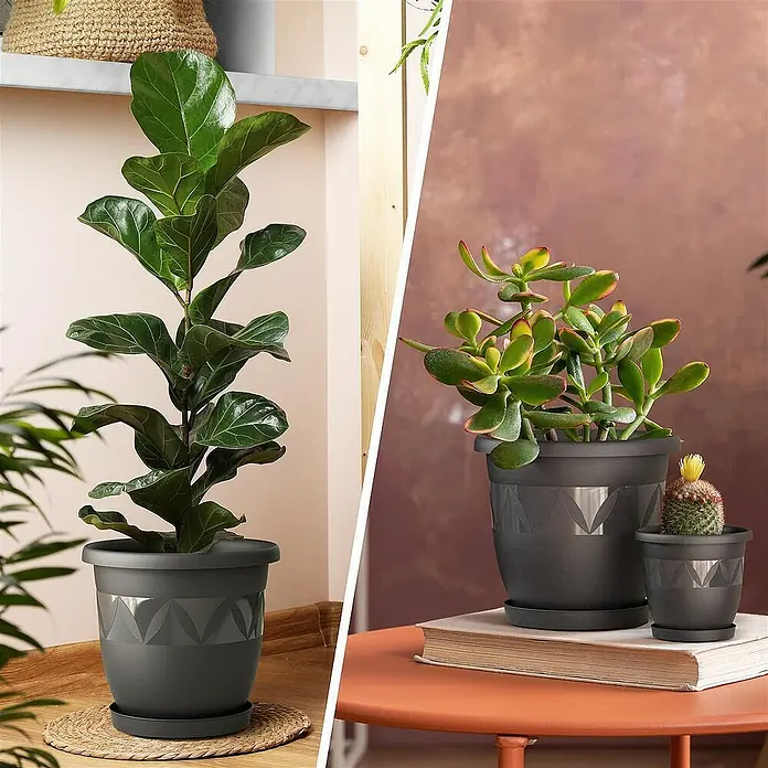 Plastard Pflanztopf Capri 3er Set mit Untersetzer in Anthrazit ...
