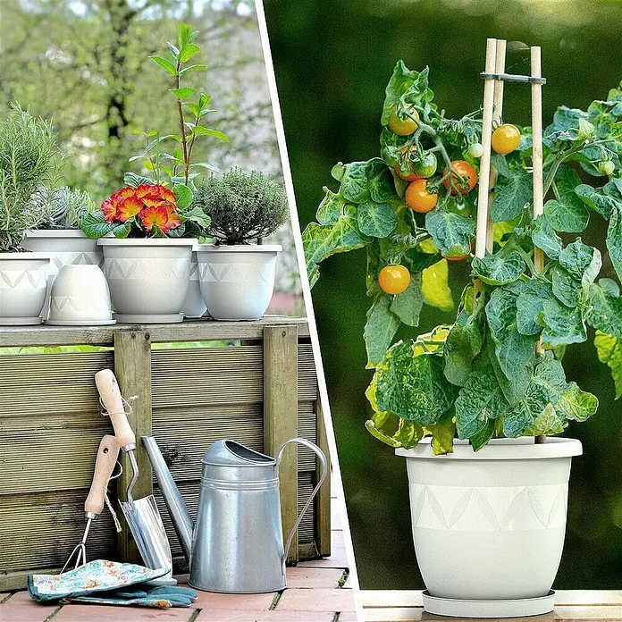 Plastard Pflanztopf Capri 3er Set mit Untersetzer in Weiß ...