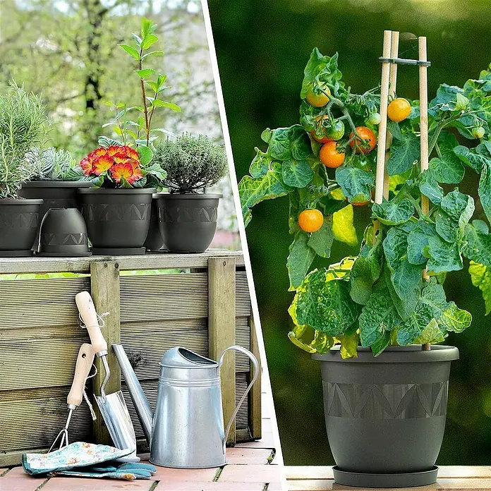 Plastard Pflanztopf Capri 3er Set mit Untersetzer in Anthrazit ...