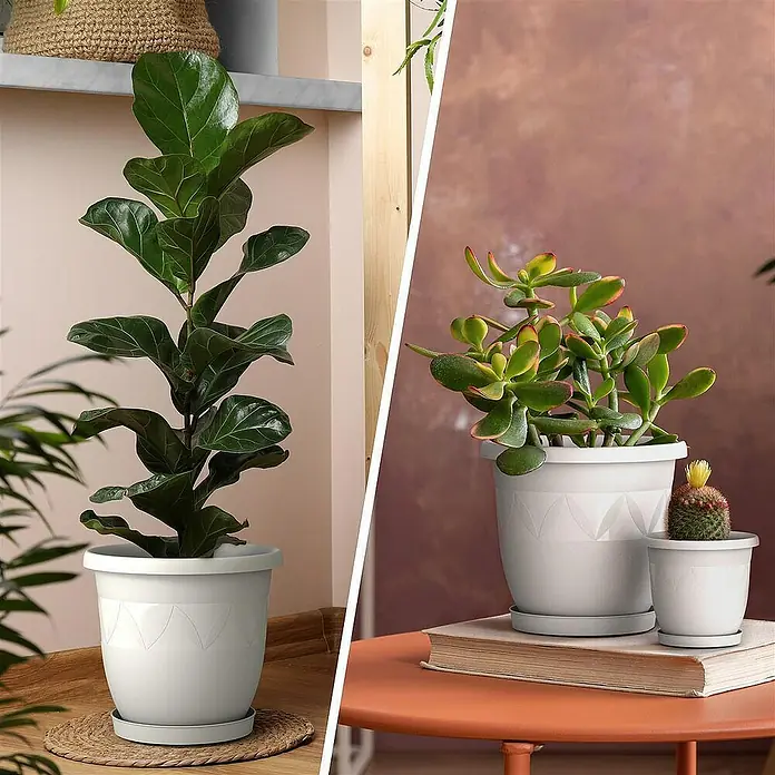 Plastard Pflanztopf Capri 3er Set mit Untersetzer in Weiß ...