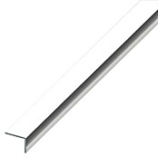 Kantoflex Winkelprofil (2 500 x 25 x 20 mm, Stärke: 1 mm, Chrom-Optik ...