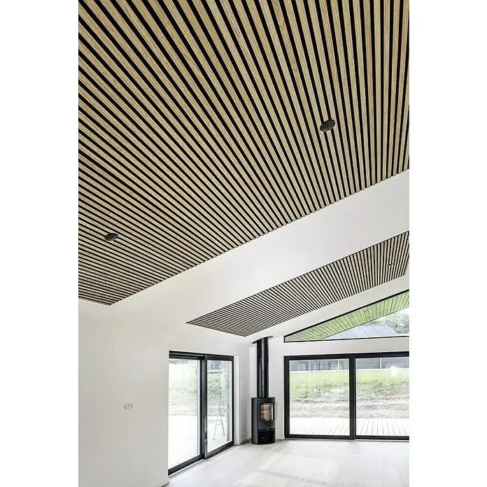Luxus Fibrotech Akustikpaneel Basic Bilder