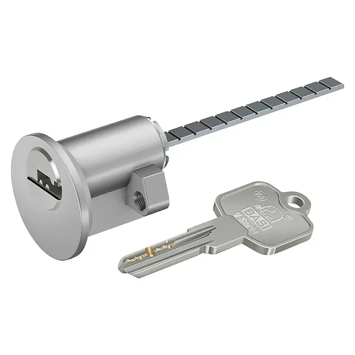 Basi Profilzylinder V55 kaufen